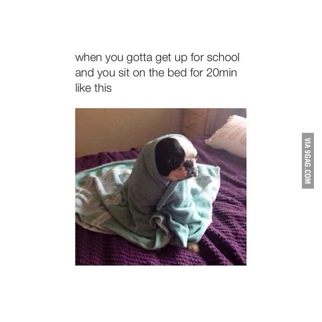 Too sleepy - 9GAG