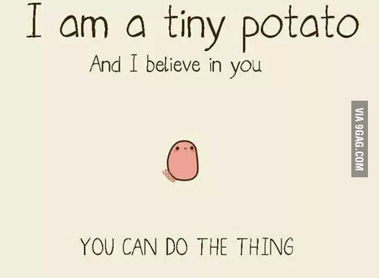 The tiny potato has been belief In you - 9GAG