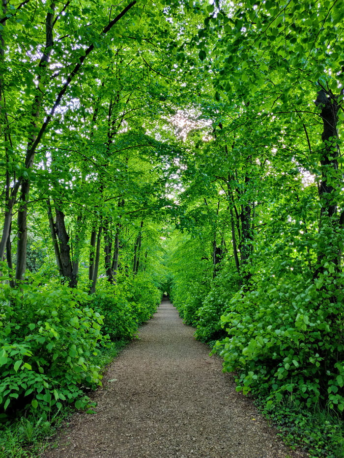Just a random forest path in Belgium - 9GAG