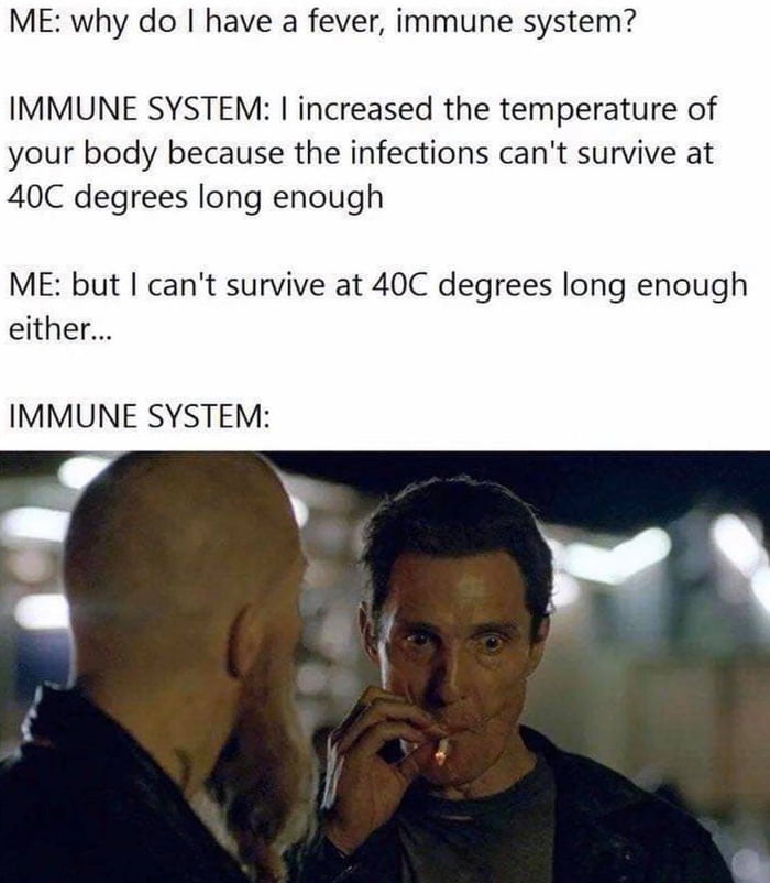 If you're dead, you're technically immune....yay immune system for taking shortcuts! - 9GAG