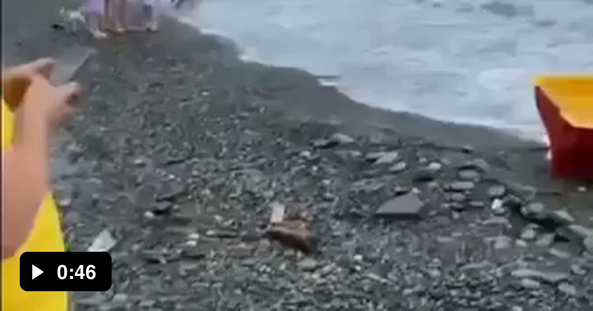 Russia Baywatch - 9GAG
