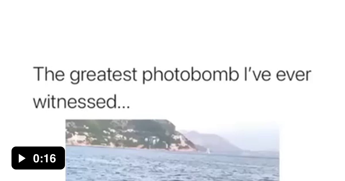 ‘Film me making cool exit from the sea.’ - 9GAG