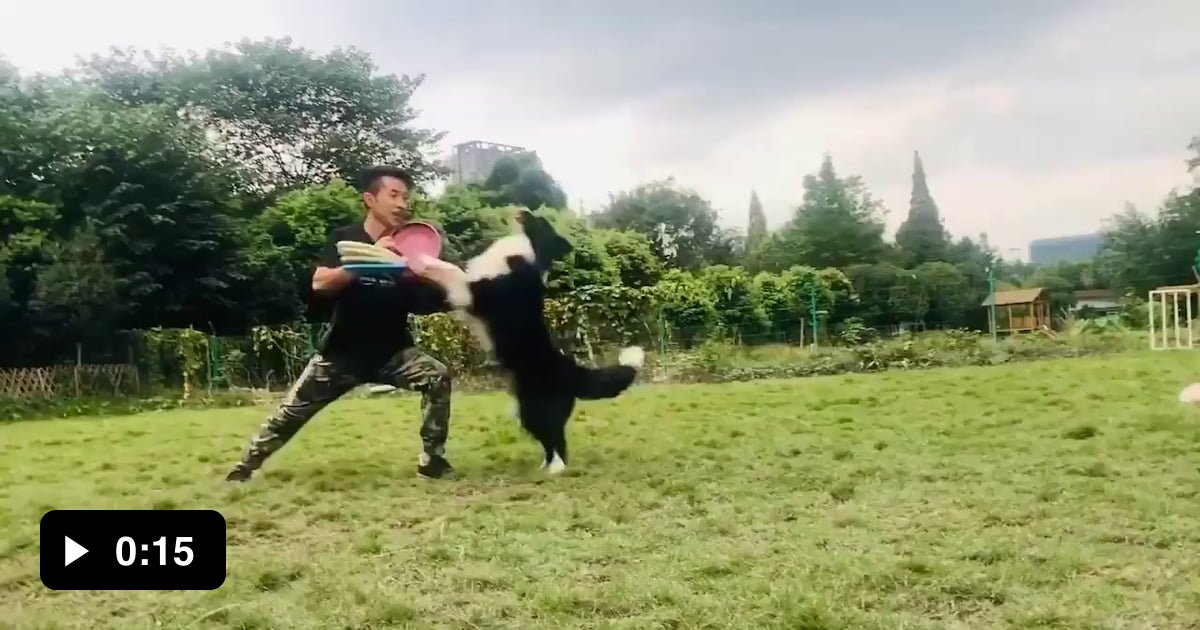 They're so in sync - 9GAG