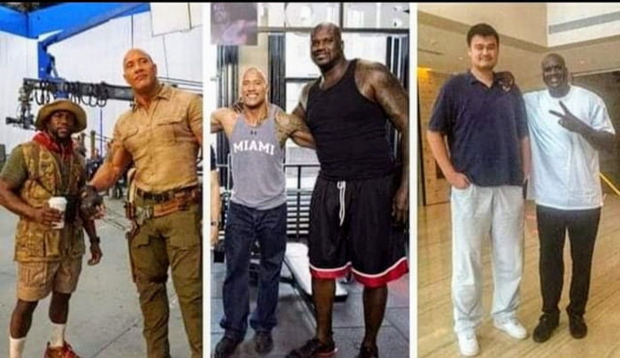 Sire! But the quality - 9GAG