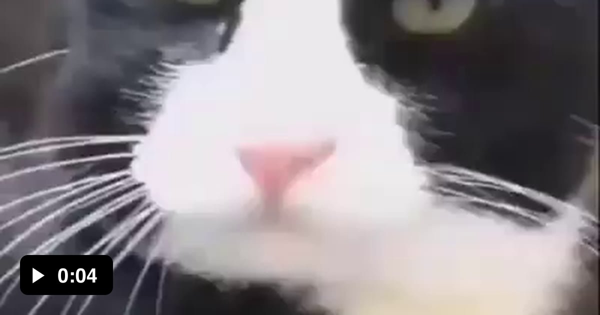 Stop. Take a look. Go further. Lick meme. - 9GAG