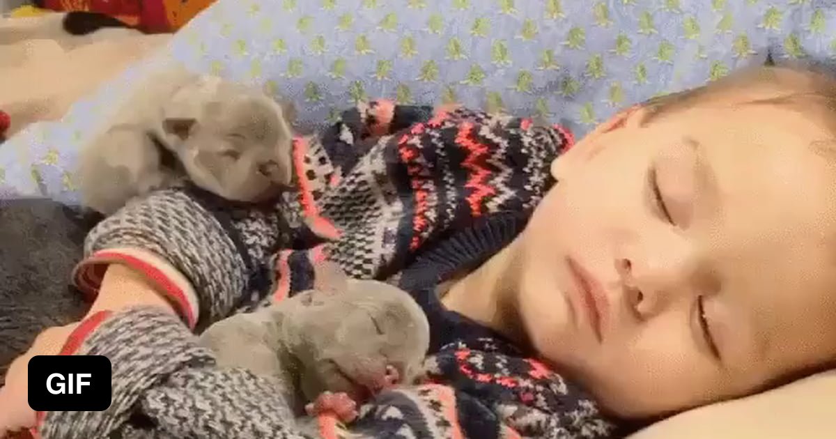 This has to be the cutest gif I have ever seen. - 9GAG