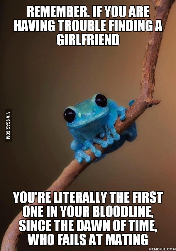 Congratulations. You fail at life. Now have a nice day - 9GAG