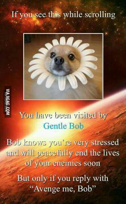Avenge me Bob - 9GAG