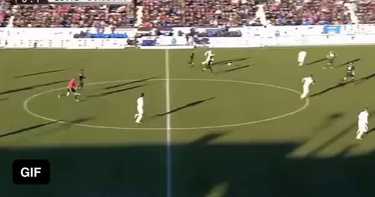 They fall like flies - 9GAG