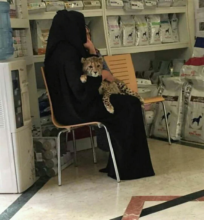 Just Another Day At Dubai Pet Shop 9GAG just-another-day-at-dubai-pet-shop-9gag