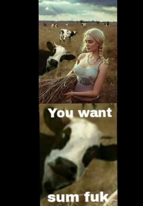 You want.................. sum fuk? - 9GAG