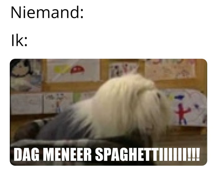Ten eerste is het Alberto - 9GAG