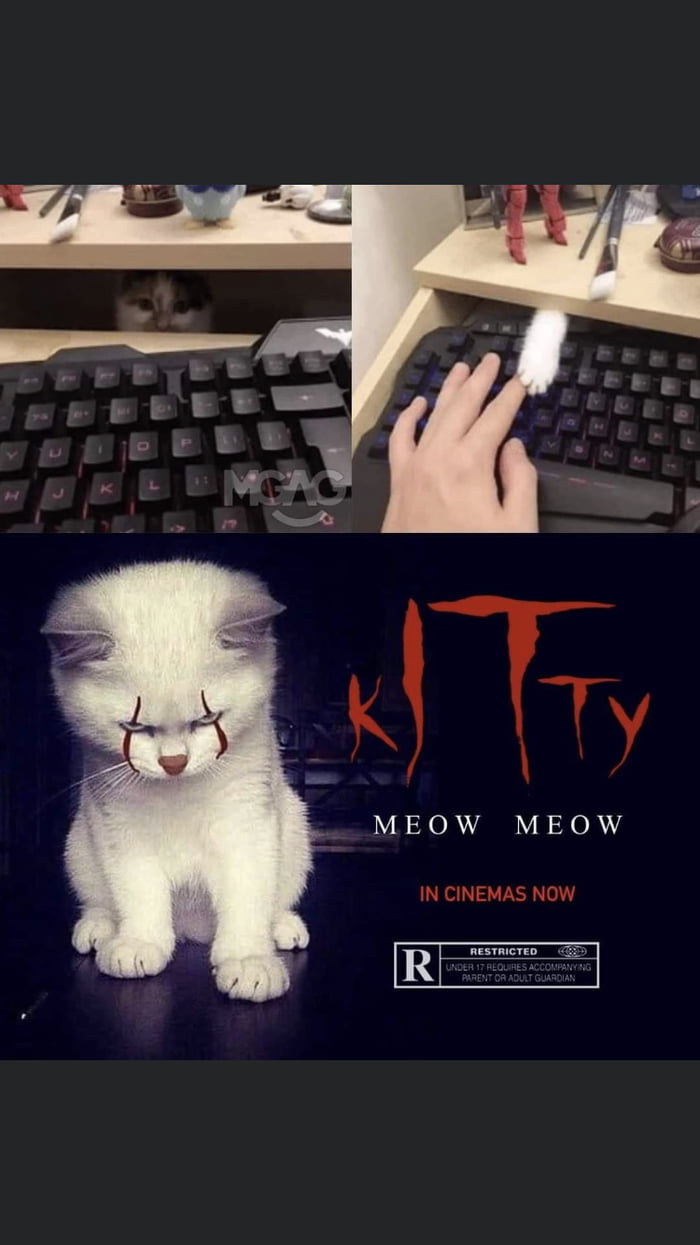 Kitty killer - 9GAG