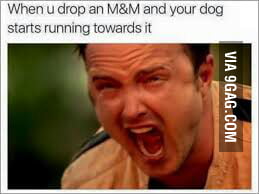 NOOO.... (insert nooo gif in comments) - 9GAG