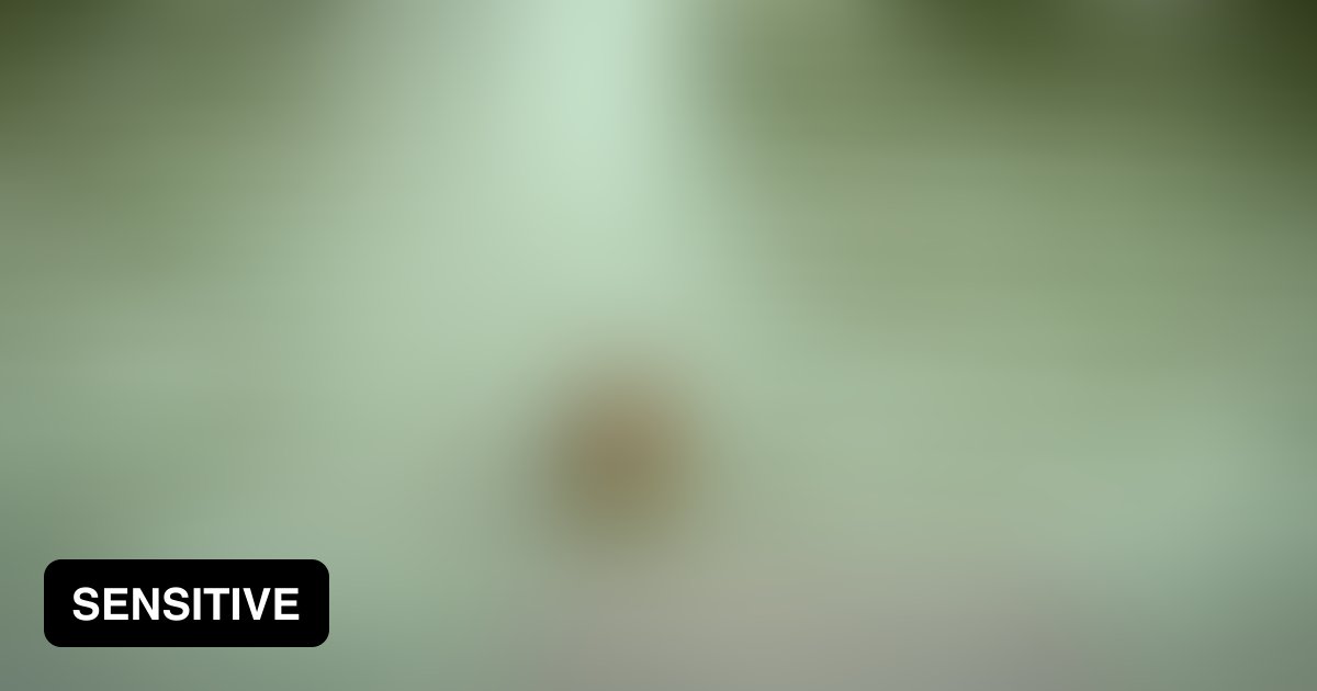 Noemie Schmidt - Versailles - 9GAG