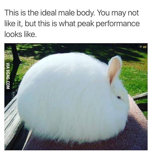 Optimum fluff - 9GAG