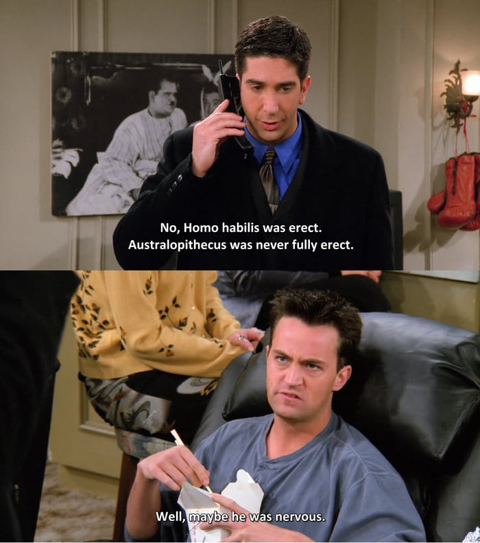 Ill never not laugh at jokes like this also heres something thats not a ...