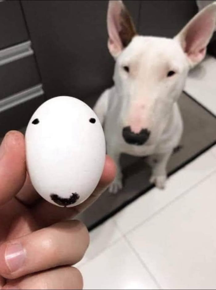 They're like two peas in a pod. - 9GAG