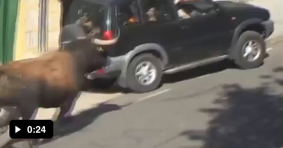This aggressive bull can even lift a car and tear it apart - 9GAG
