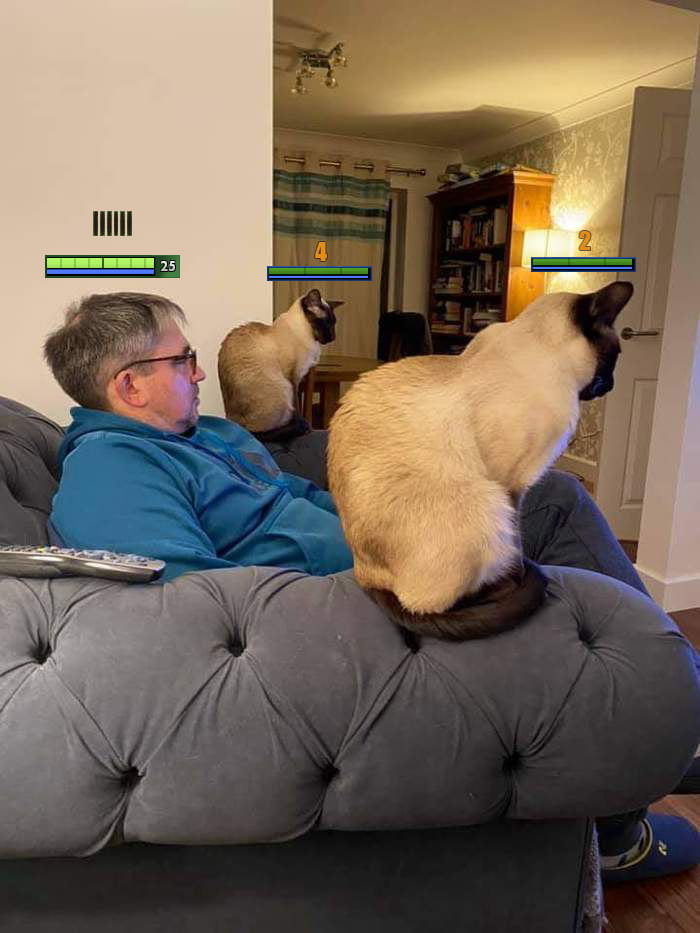 Visage and cats - 9GAG