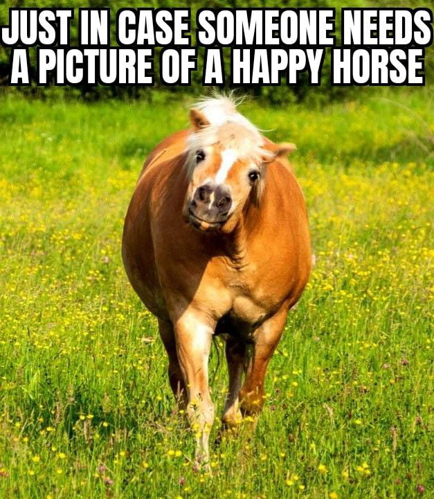 Useless title - 9GAG