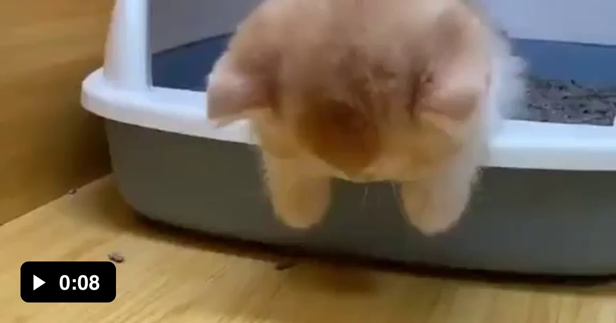 This gives new meaning to being "Pooped out" - 9GAG