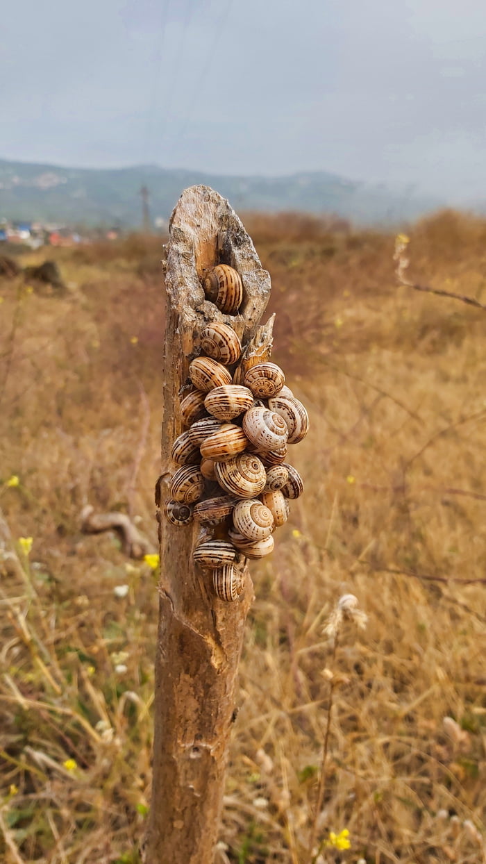 The sticky stick - 9GAG