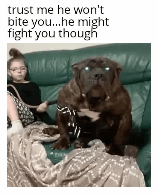 Dafuq kind of demon dog is this!!?.... I want one - 9GAG