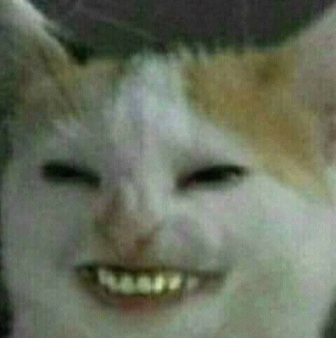 Gimme your best no text memes. - 9GAG