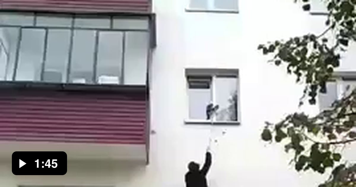 Stuck in the window - 9GAG