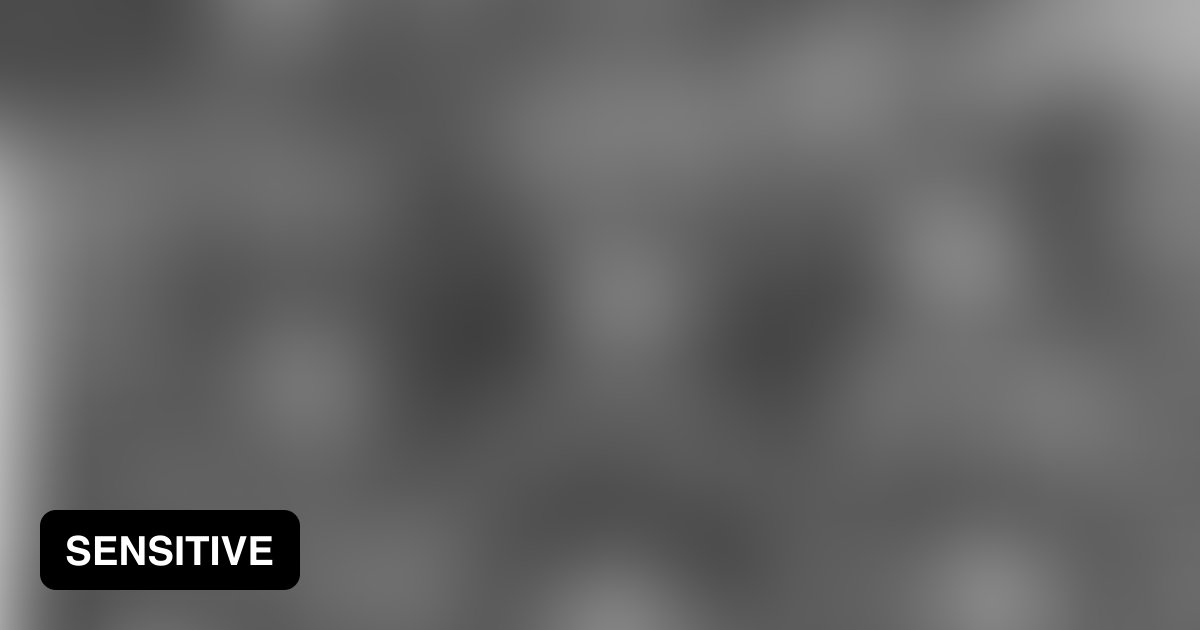 Female snipers of the Soviet 3rd Shock Army. 05/04/1945 - 9GAG