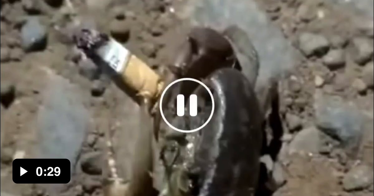 One man's trash - 9GAG