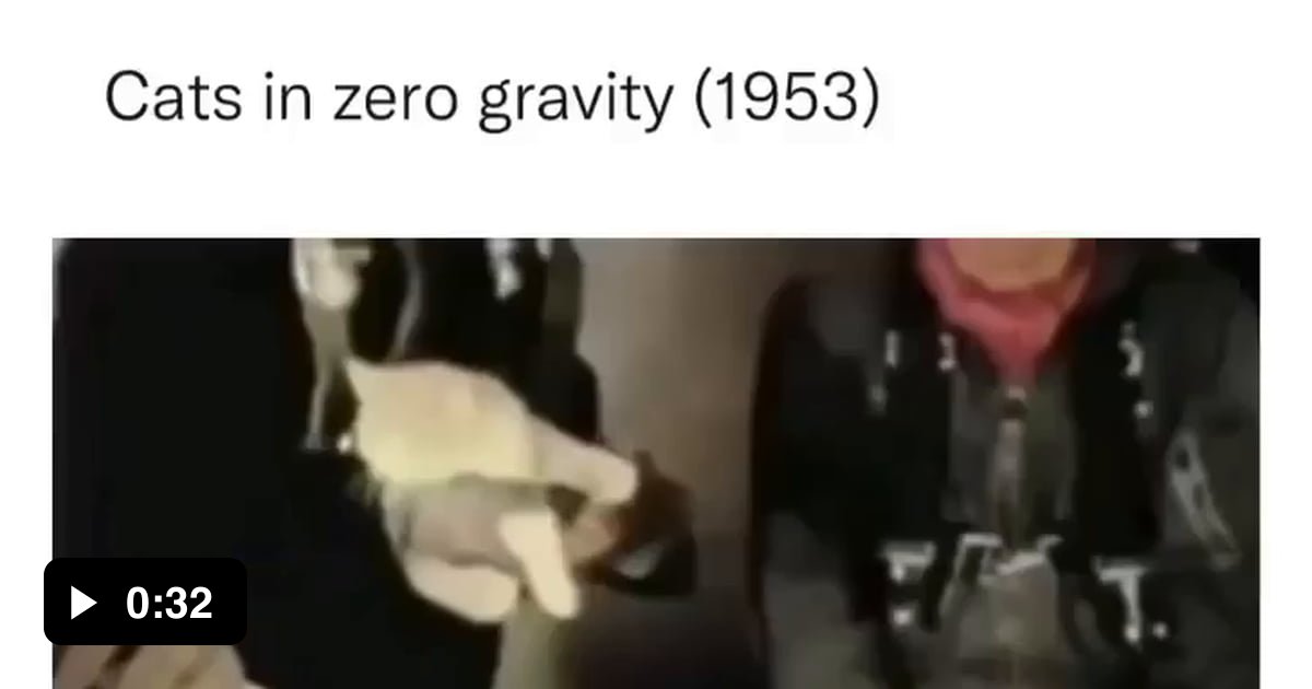 Kitties in zero gravity - 9GAG