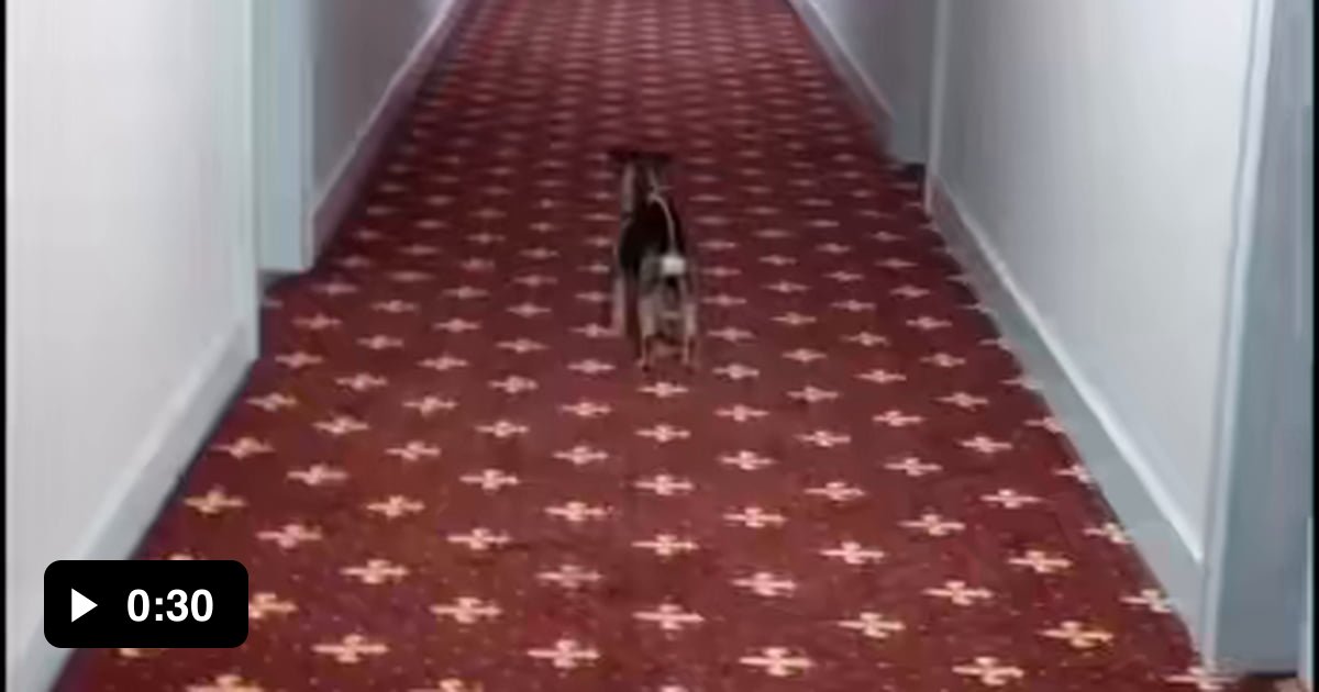 Stiff as a board - 9GAG