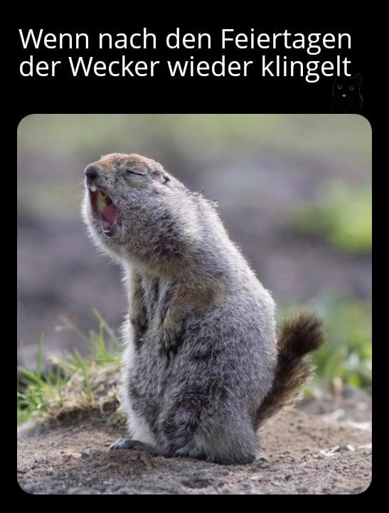 Wer bin ich und wenn ja wieviele? - 9GAG