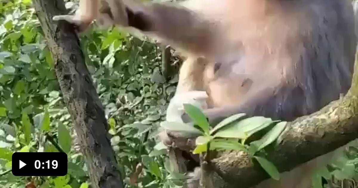 Get back here Greg - 9GAG