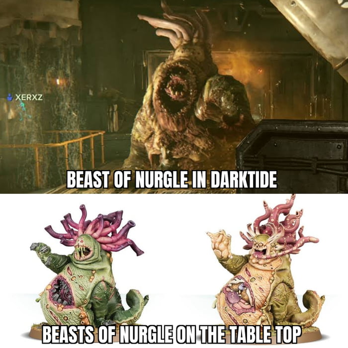 We have Beasts of Nurgle at home. - 9GAG