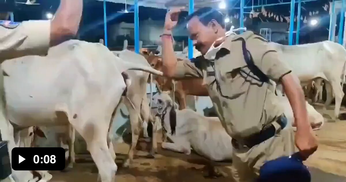 Immunity Booster - 9GAG