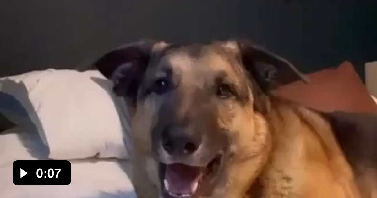 Brain is loading.... - 9GAG