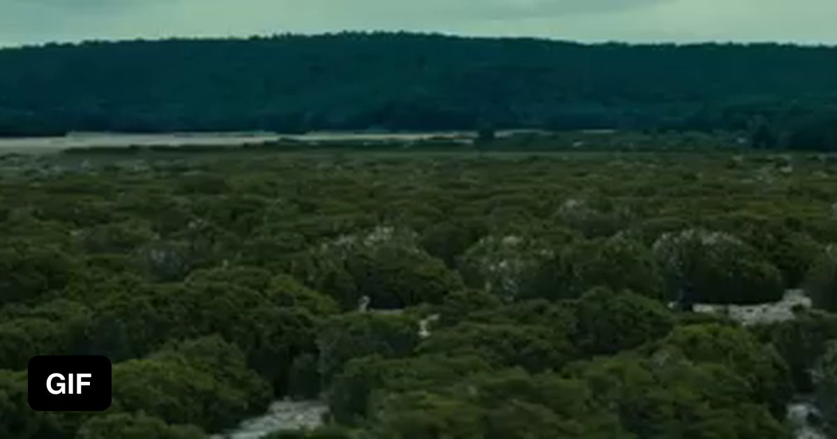 The Third Age : 02 October 3018 -Together with Strider the four hobbits ...