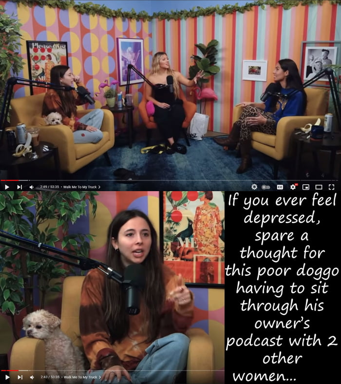 Poor Good Boy - 9GAG