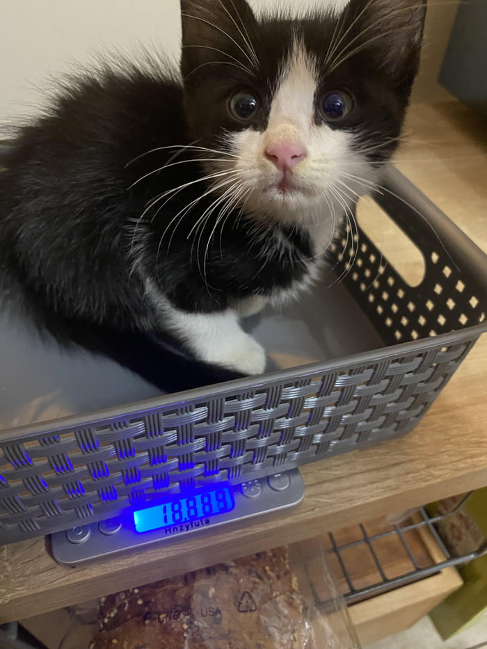 Skiddy’s first picture at home - 9GAG