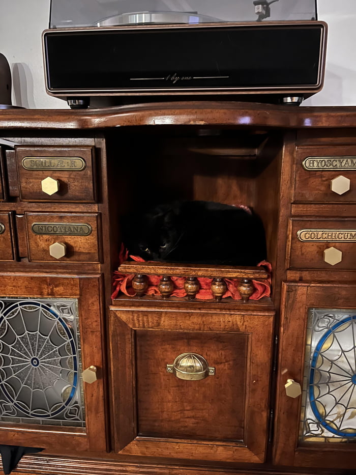 The perfect cat cubby - 9GAG