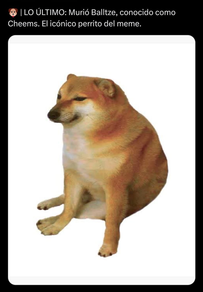 Goodbye Cheems🐶 - 9GAG