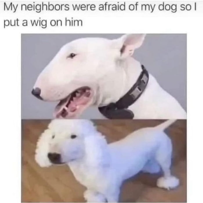 No fifi. Come back! No children for you! - 9GAG