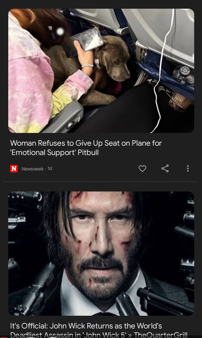 Isn't this karma, John Wick is back to protect dogs - 9GAG