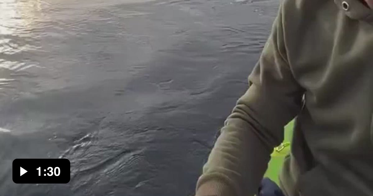 Let's pretend to be calm, smile, keep smiling, don't freak out. - 9GAG