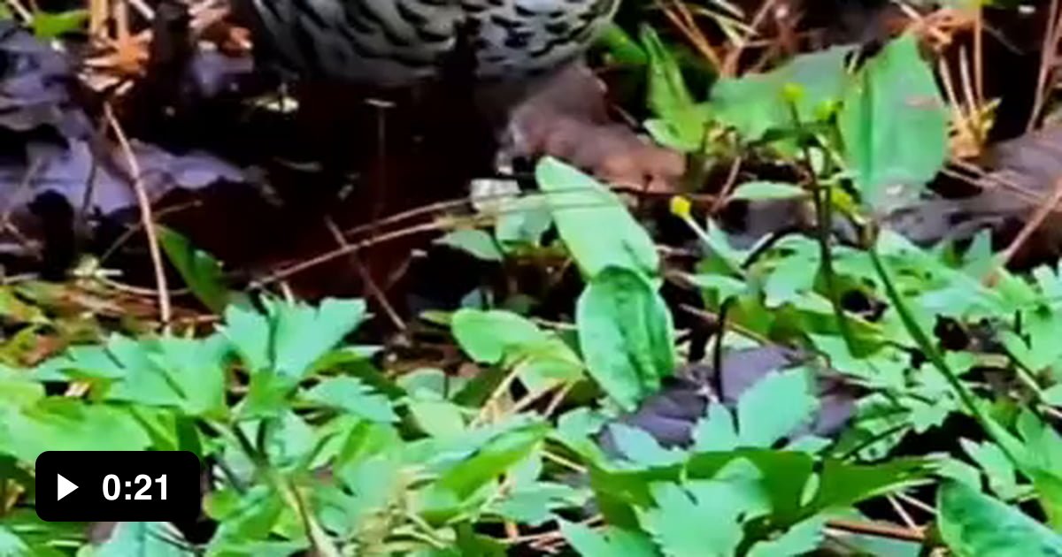 Song name pls - 9GAG