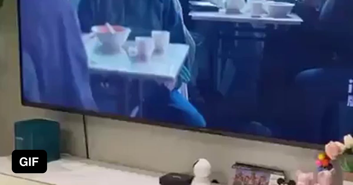 Doggo was confused - 9GAG