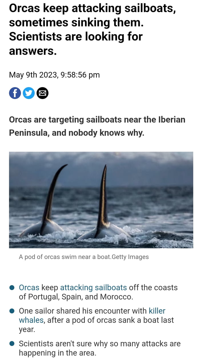 More than 200 orca attacks since 2020. What may be the reasons? Let's hear the experts. - 9GAG